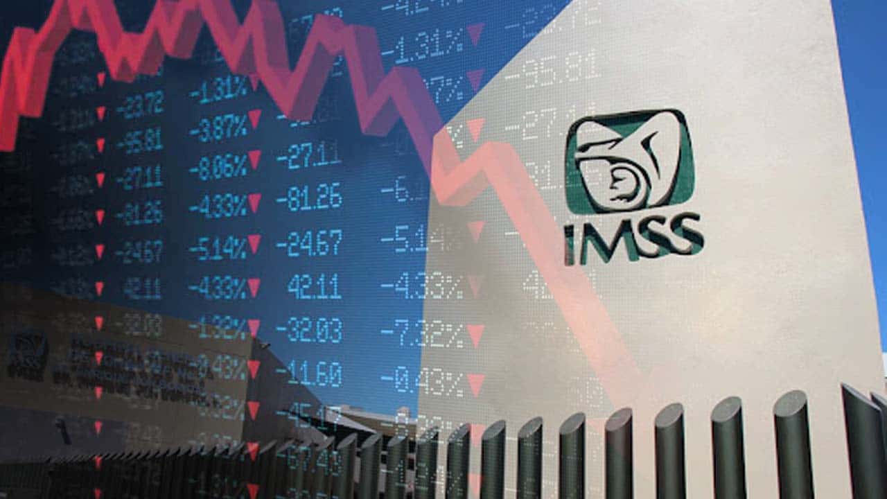¿Qué es el IMSS?