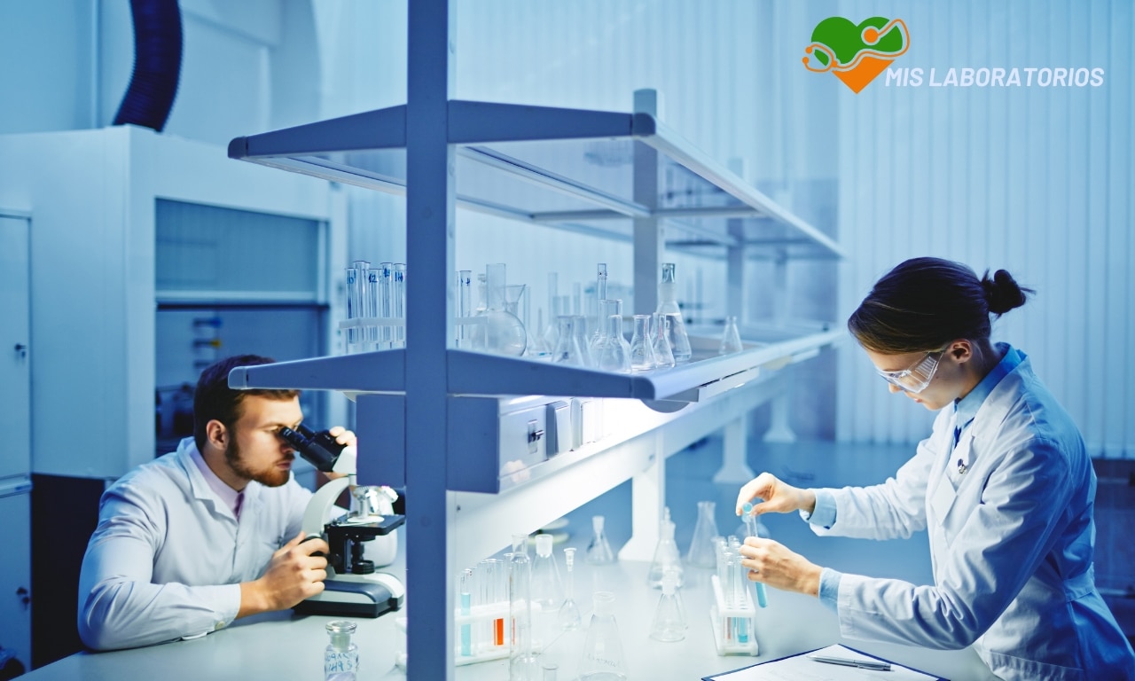 Estudios de Laboratorio: una Herramienta Esencial en la Investigación ...